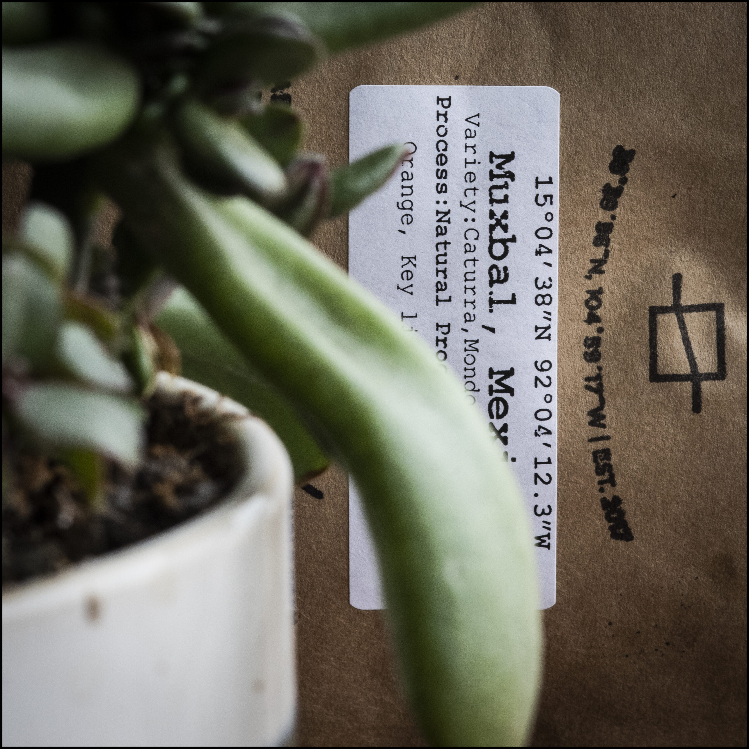 Redshift Coffee – Meticulously Sourced – Small Batch Roasted Coffee